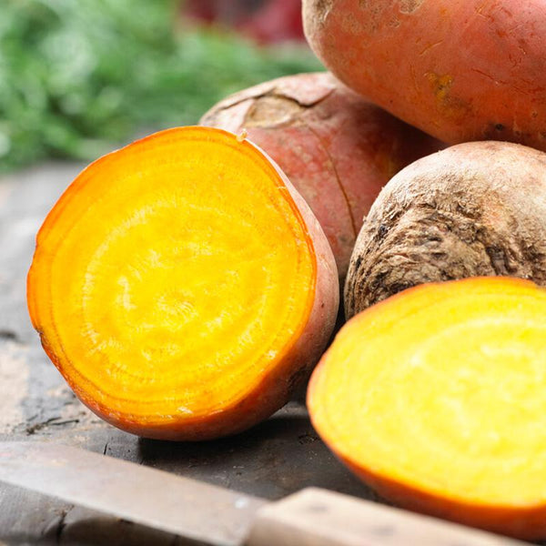 Organic Yellow Beetroot Boldor Seeds | Fontana Seeds